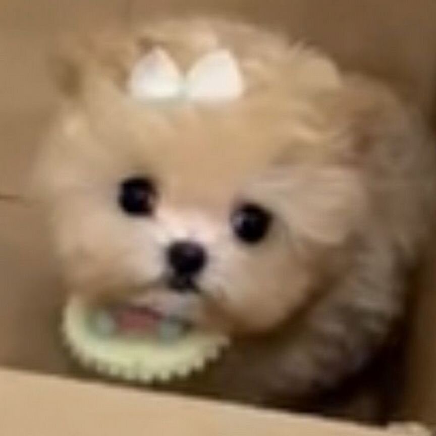 Мальтипушечки микро ф1