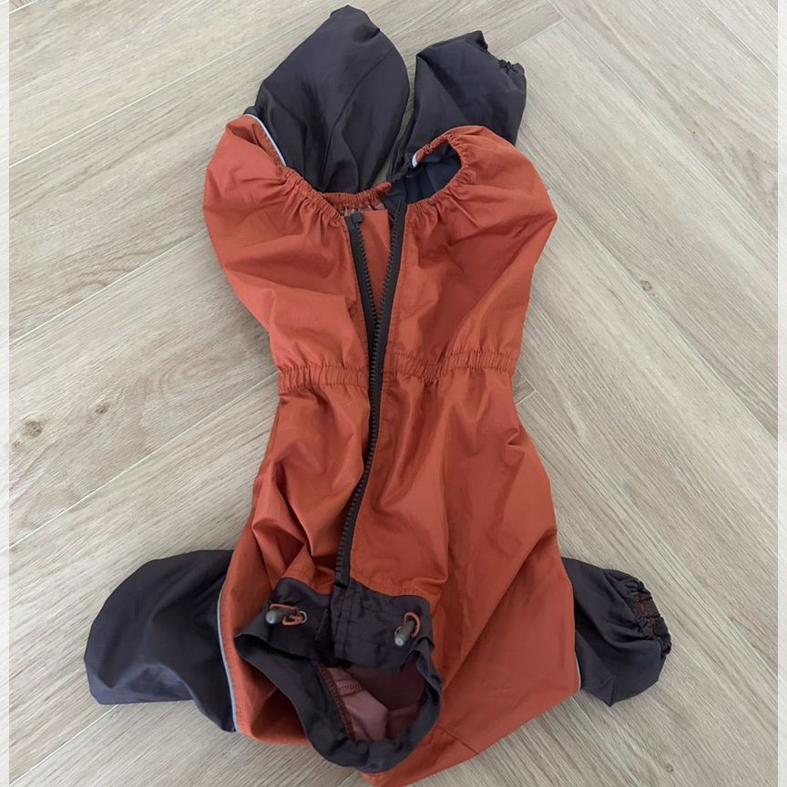 Одежда для собак