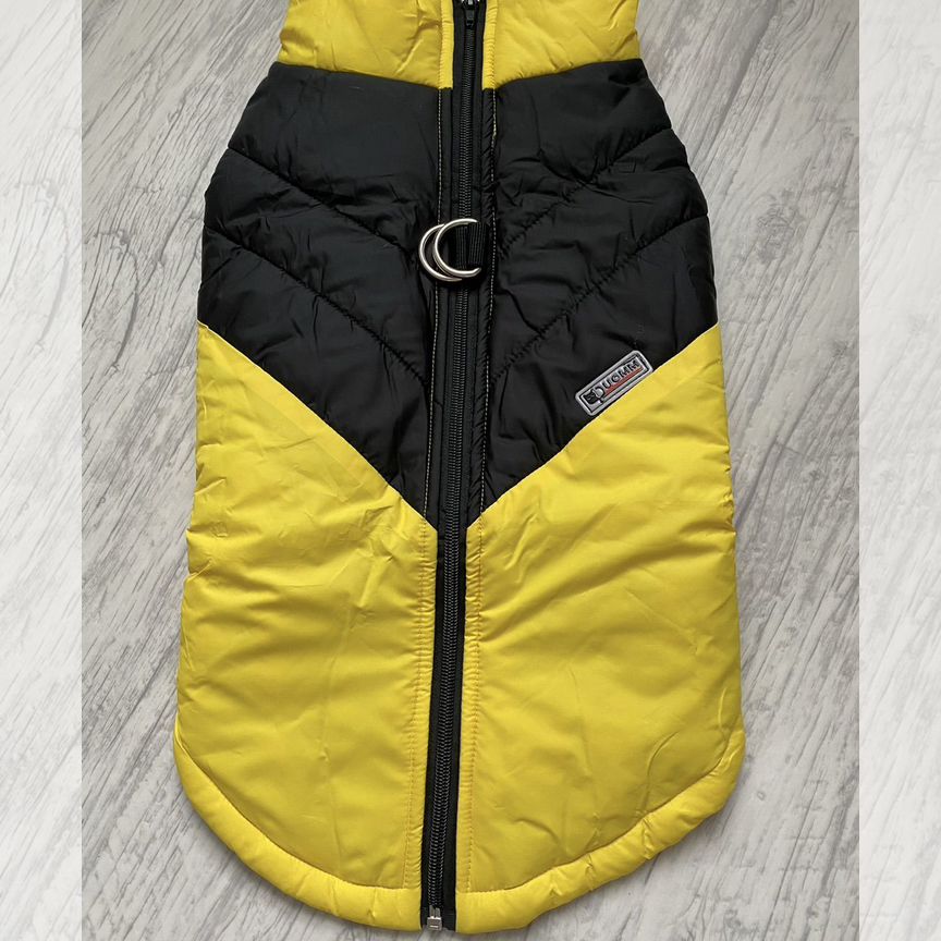 Одежда для собак