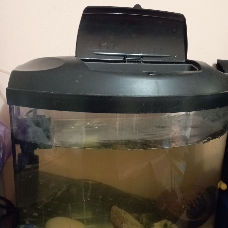 Аквариум панорамный