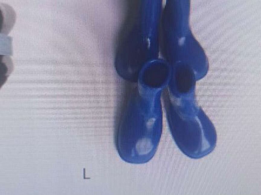 Сапоги резиновые для собак