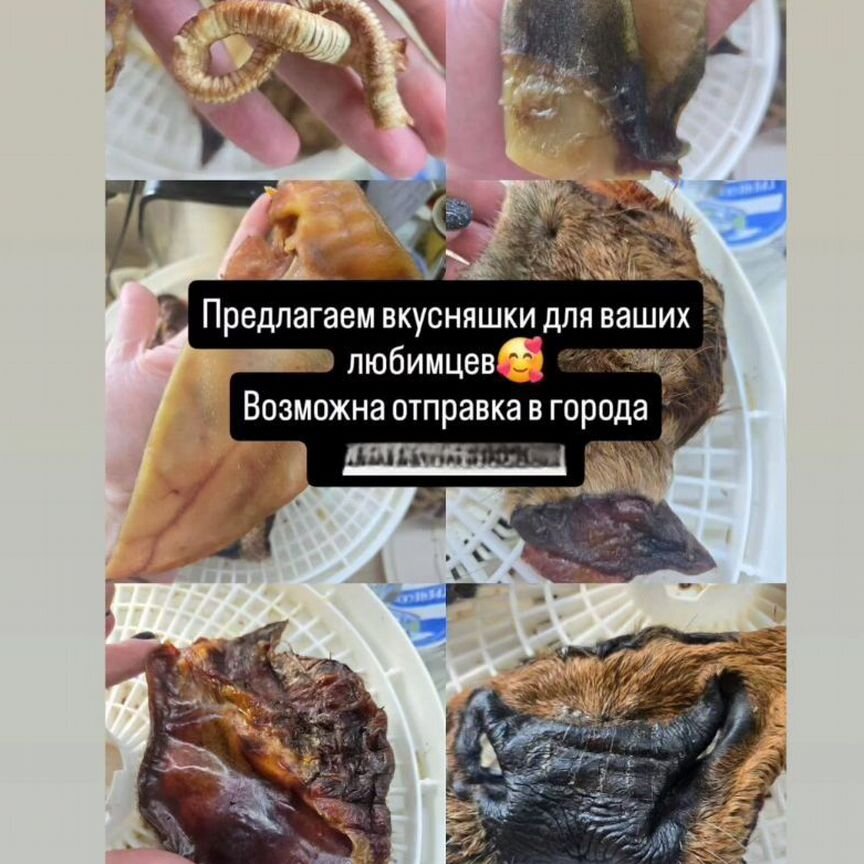 Лакомства для собак
