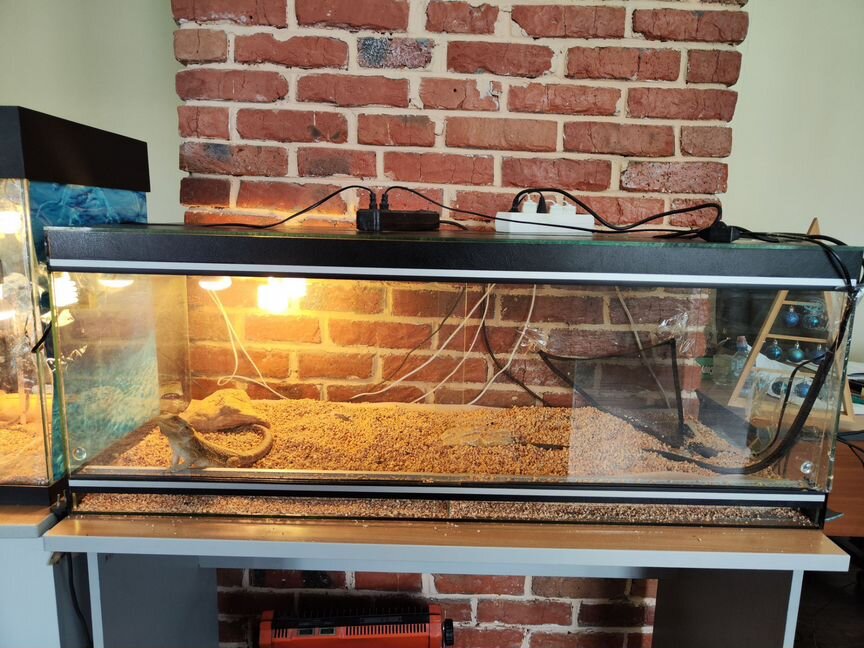 Террариум для рептилий