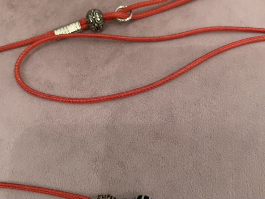 Ринговка для собак