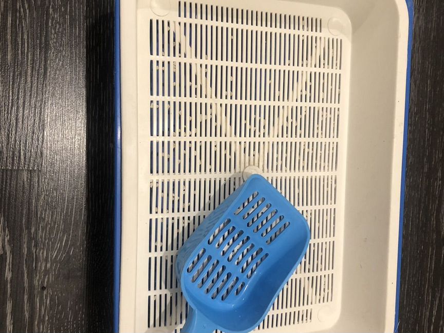 Лоток, лопаточка, поводок для кошек