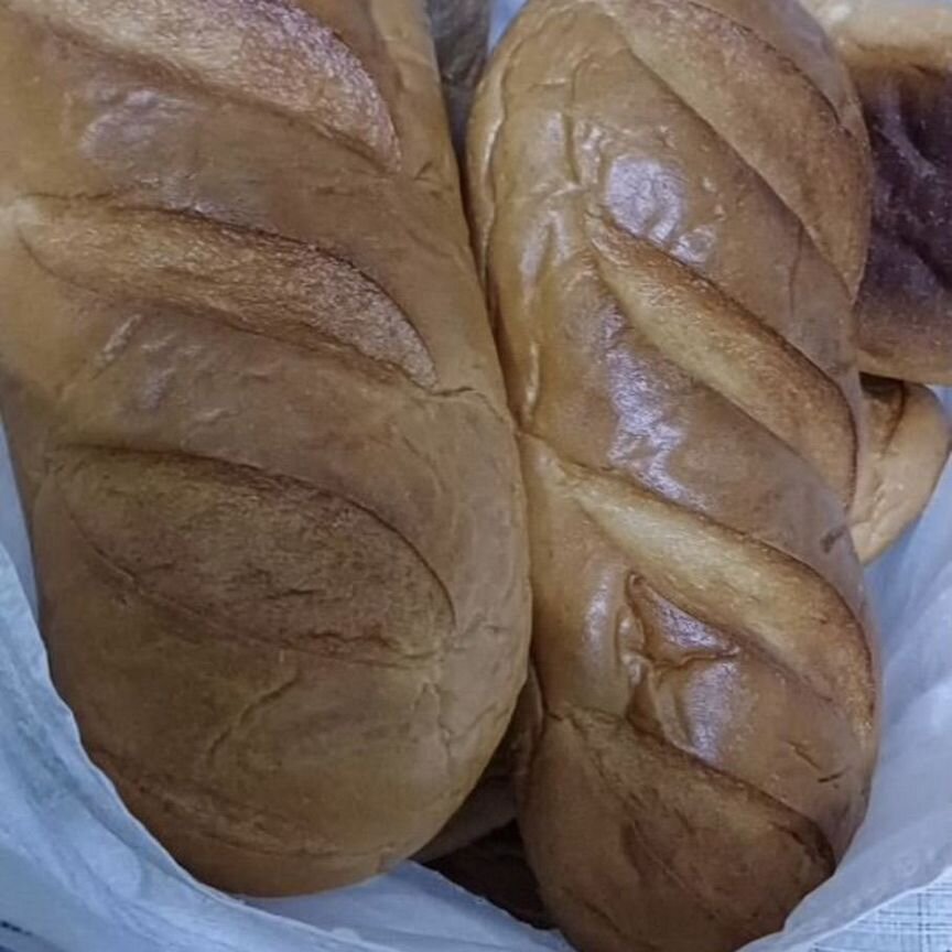 Хлеб на корм животным