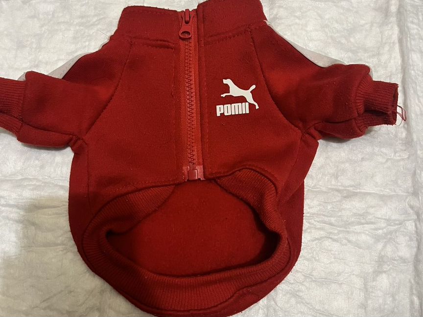 Кофточка на собаку