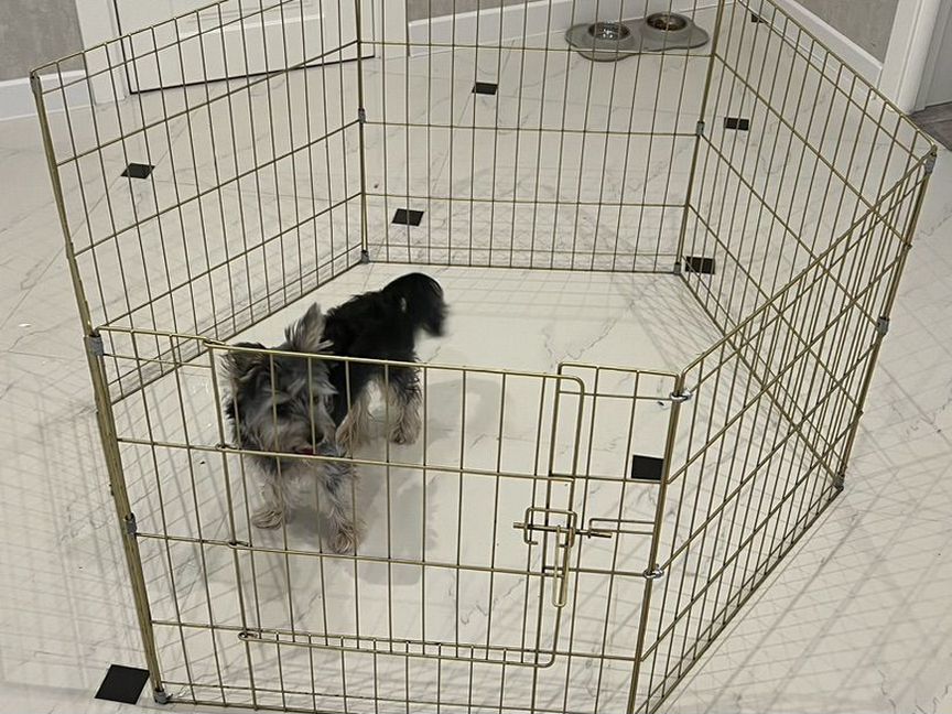 Клетка вольер для собак