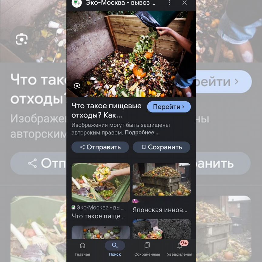 Бесплатные пищевые отходы