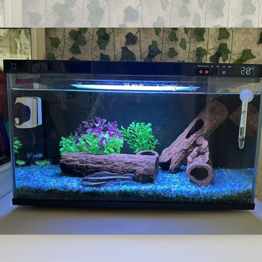 Аквариум xiaomi mijia SMART населенный
