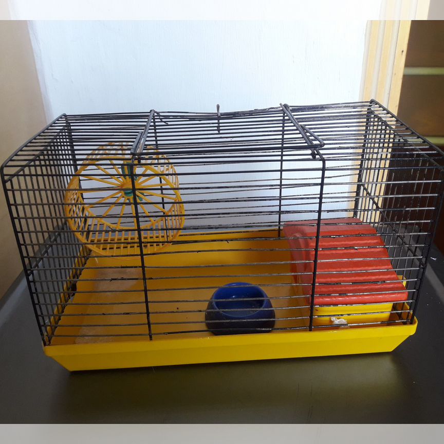 Клетка для джунгарика