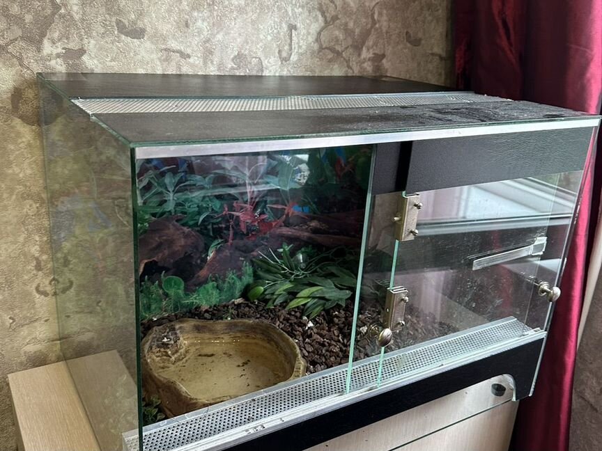 Террариум для рептилий