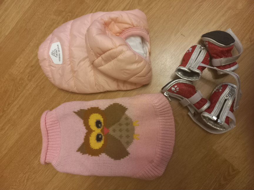 Одежда для собак