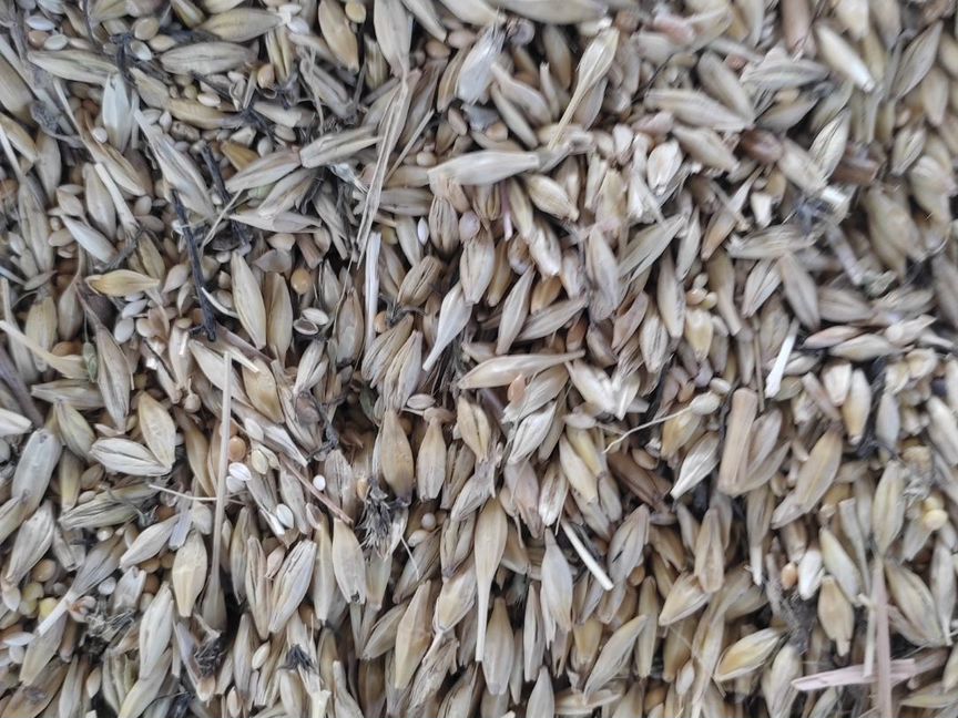 Отходы кормовые