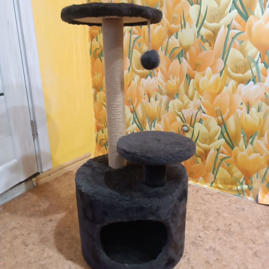 Когтеточка