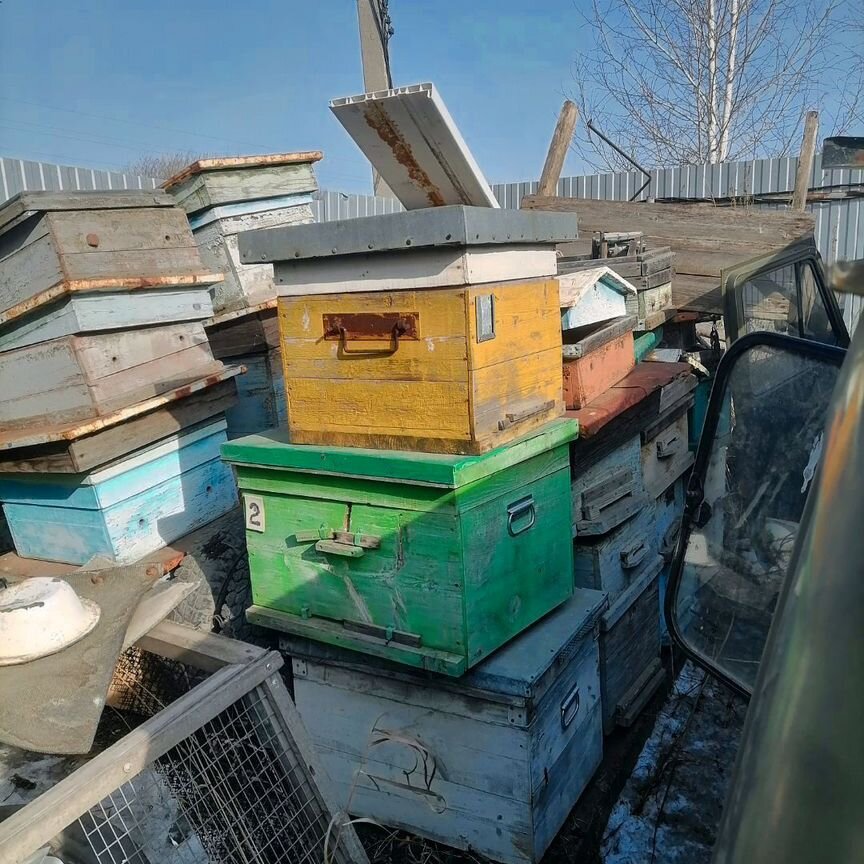 Улии бу
