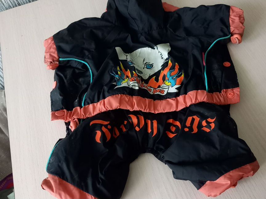 Дождевик для маленьких собак