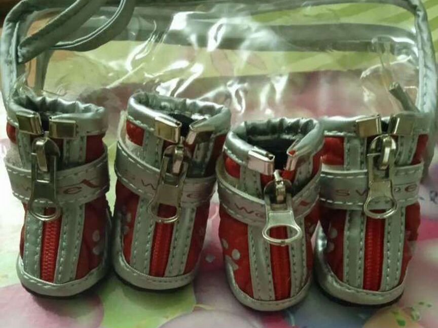 Ботинки для маленьких собак