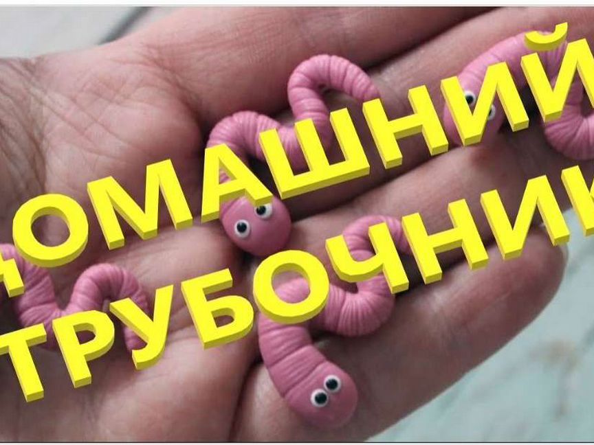 Трубочник изя