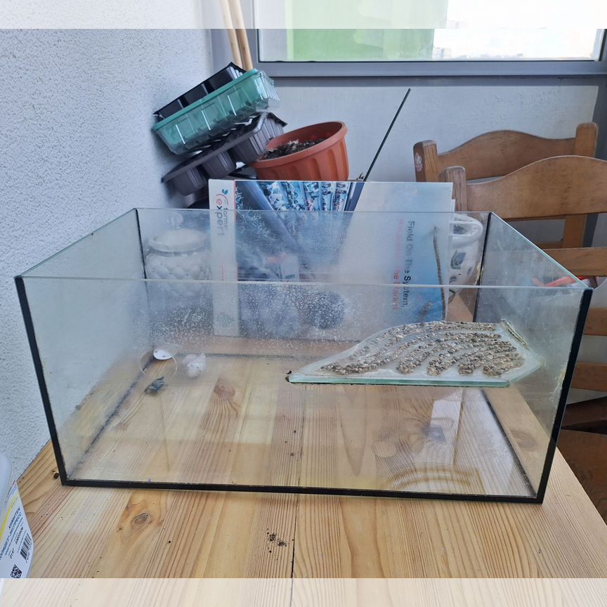 Аквариум для черепах