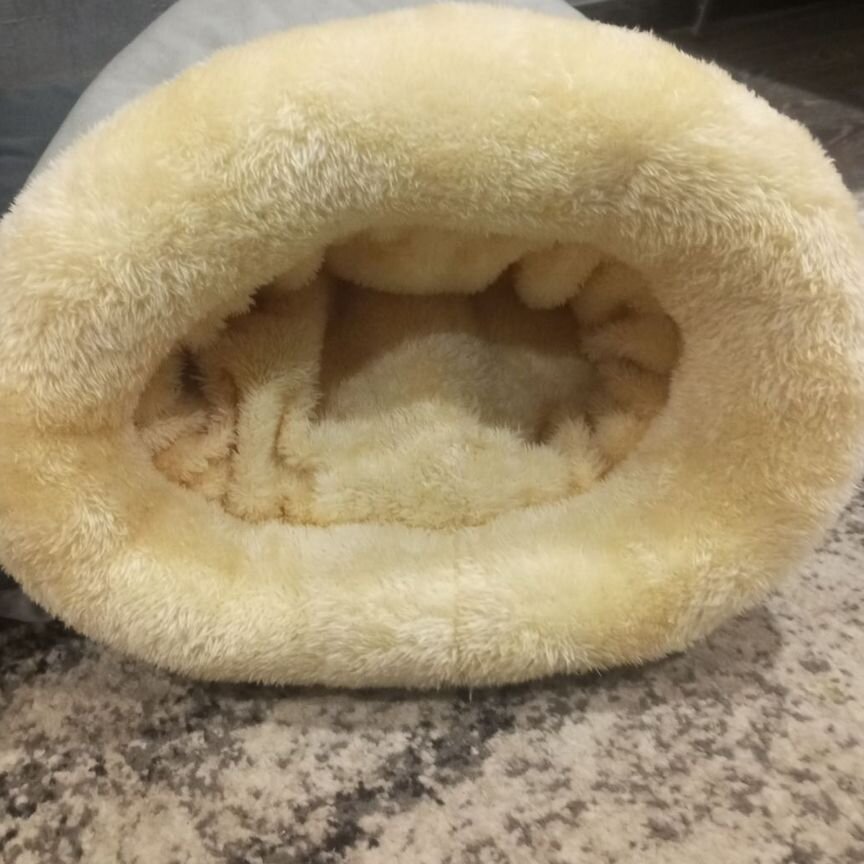 Лежанка и лапа мойка