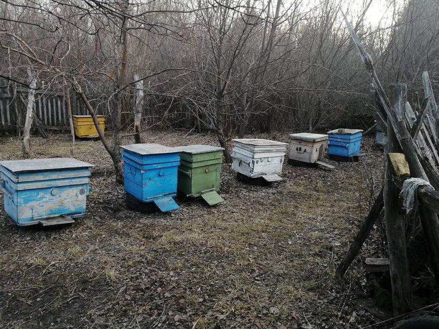 Продаётся пасечный инвентарь