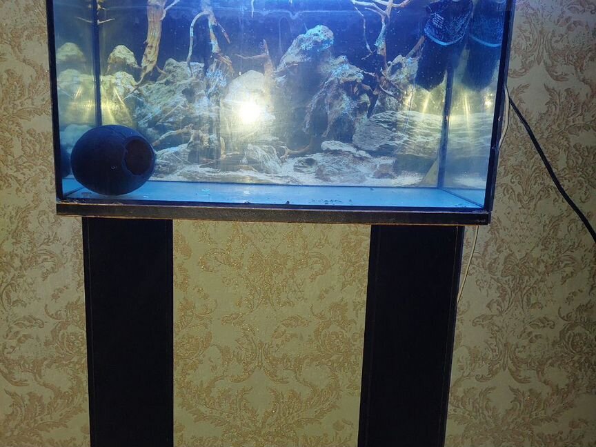 Аквариум с тумбой и крышкой 120л