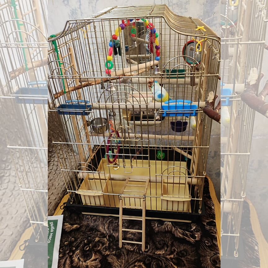 Клетка для попугая большая бу