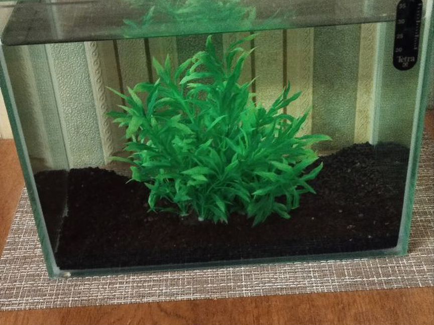 Аквариум акваплюс 15 литров и наполнение