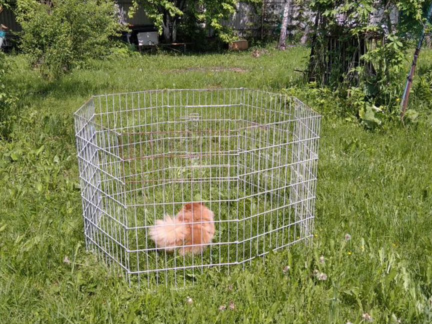 Клетка для передержки