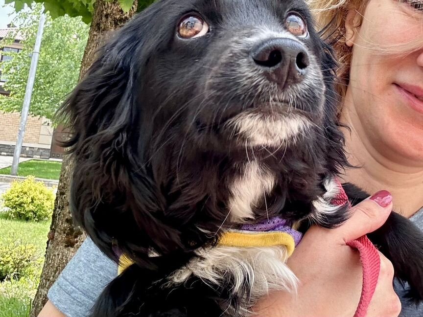 Ну, как же не влюбиться в эти глаза)