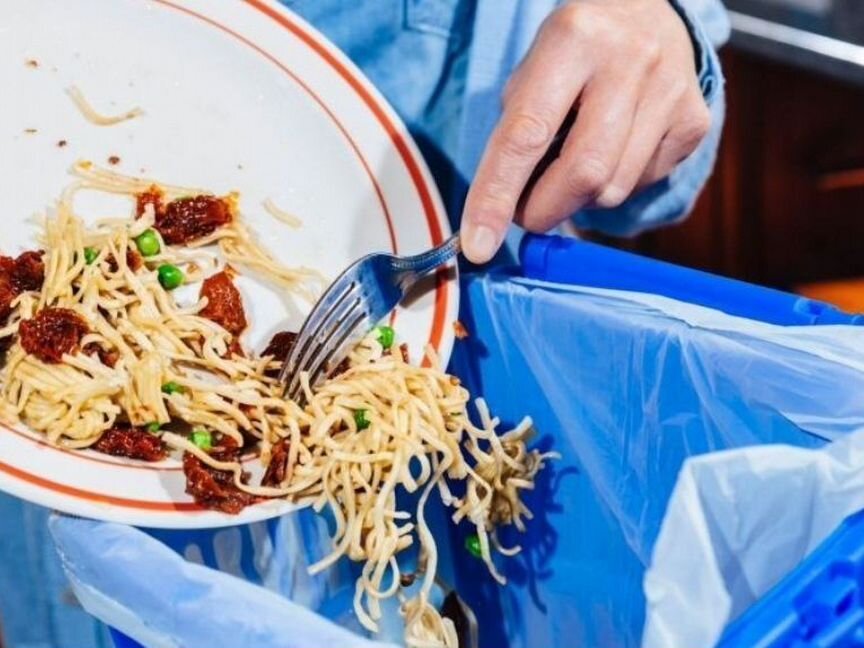 Пищевые отходы