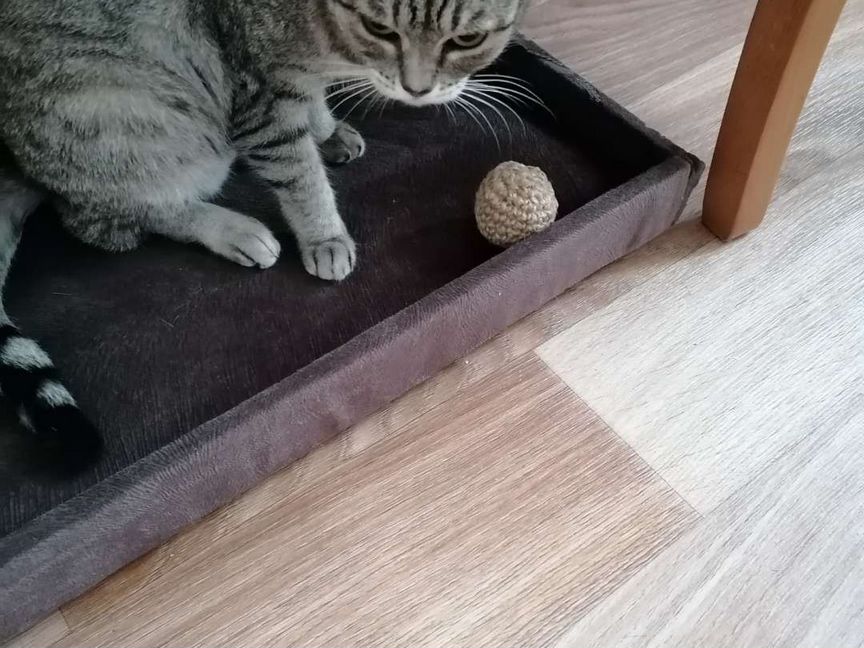 Игрушки для кошек