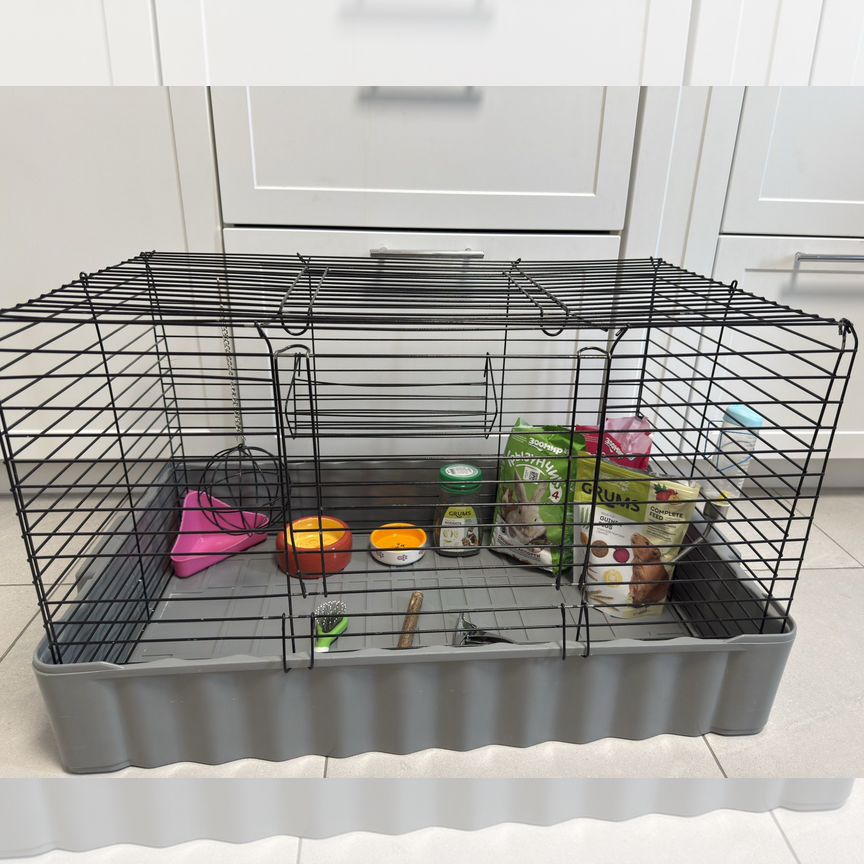 Большая клетка для грызунов   аксессуары