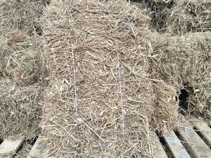 Солома гороховая