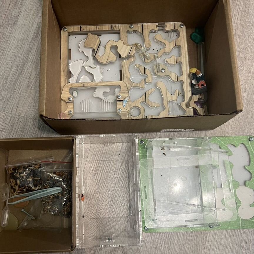 Муравьиная ферма