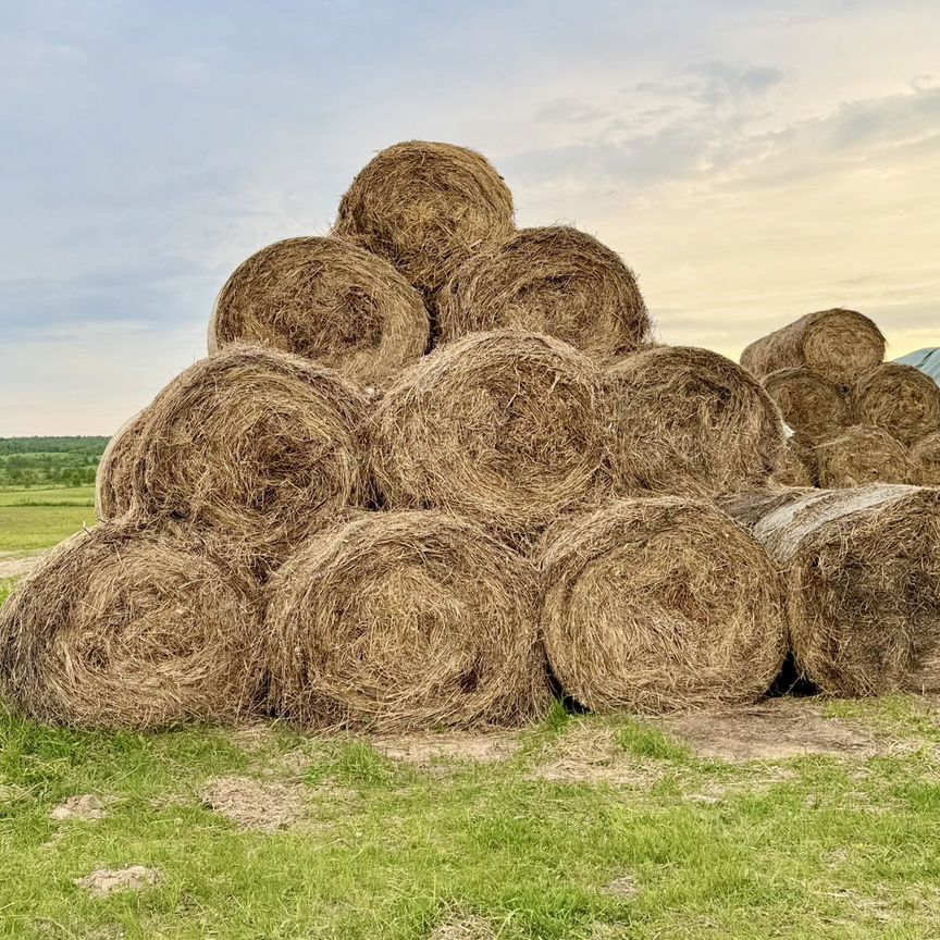 Сено в рулонах (травосмесь) / Солома в рулонах