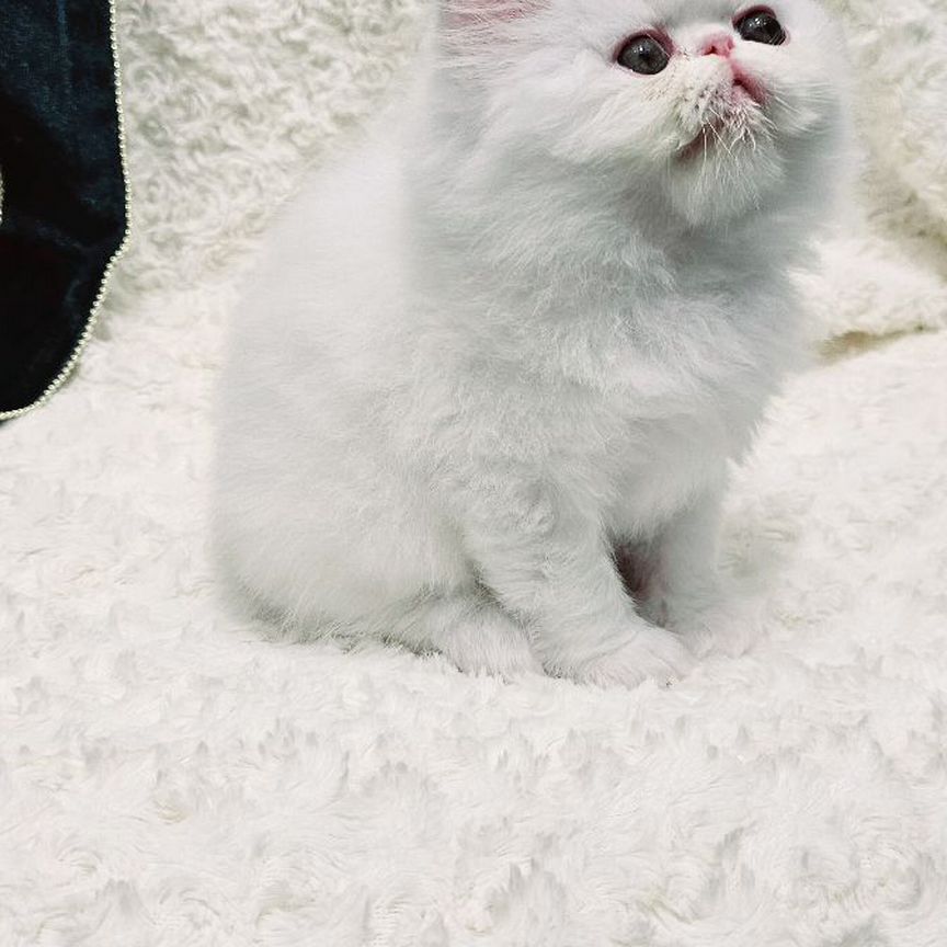 Малышка на миллион