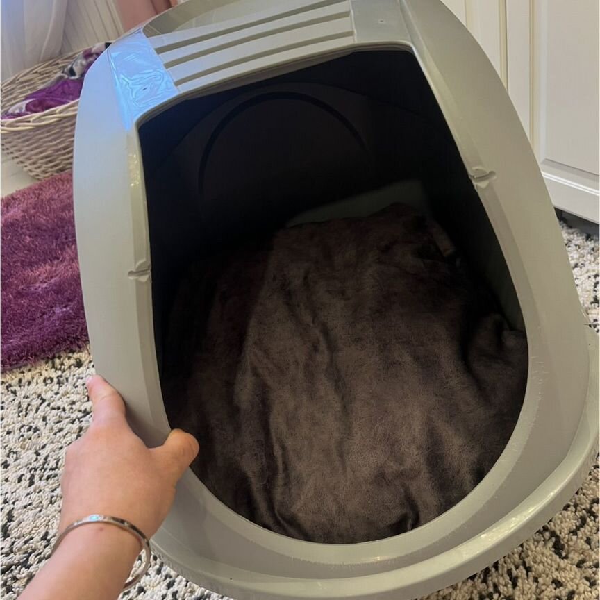 Домик/туалет для кошки б/у