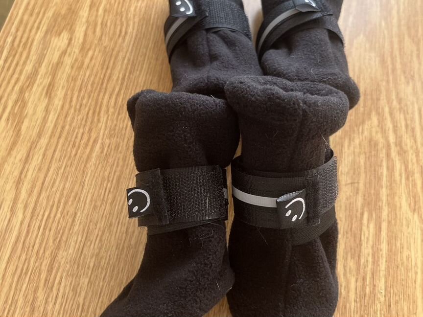 Обувь для средних собак