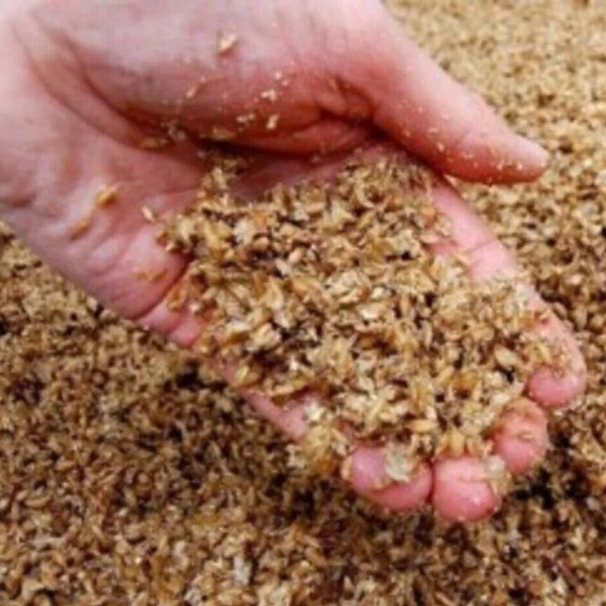 Дробина пивная на корм животным