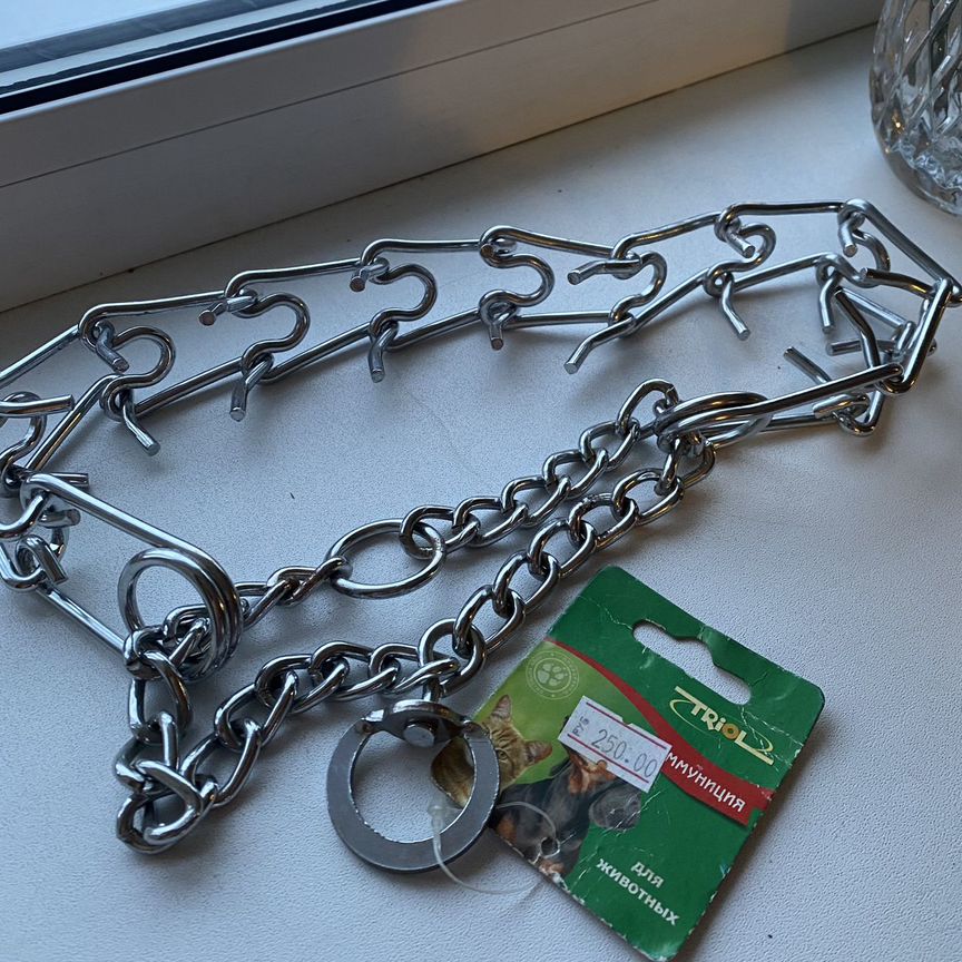 Строгий ошейник для собак