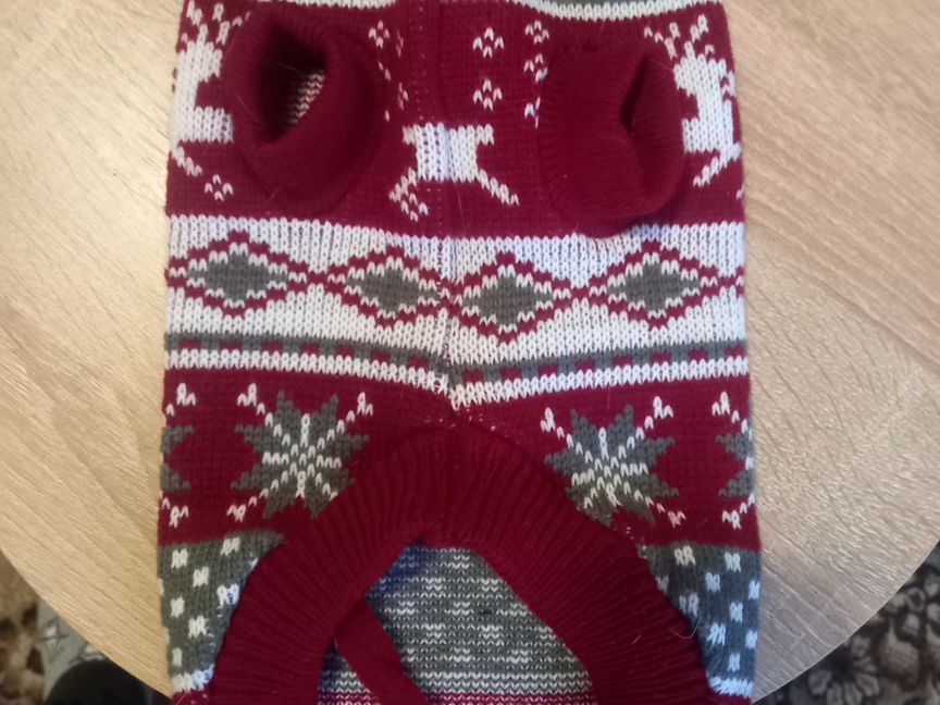 Одежда для собак мелких пород