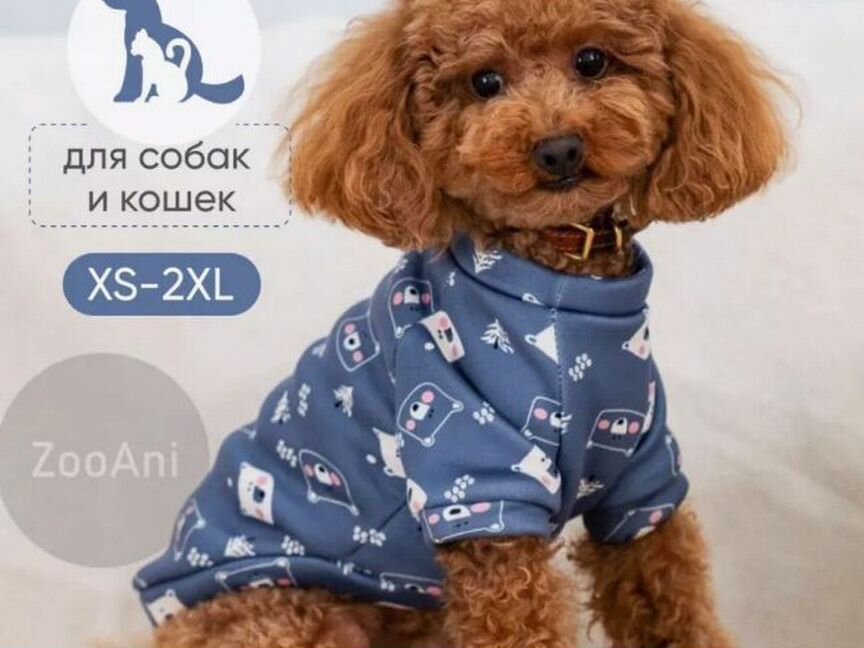 Толстовка одежда для небольших собак или кошек