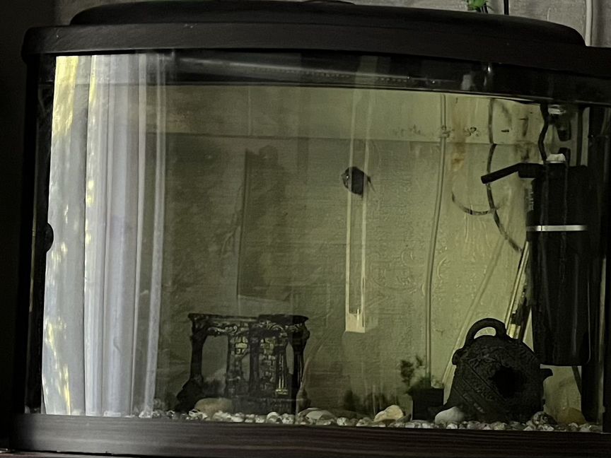 Аквариум с рыбками 46 л