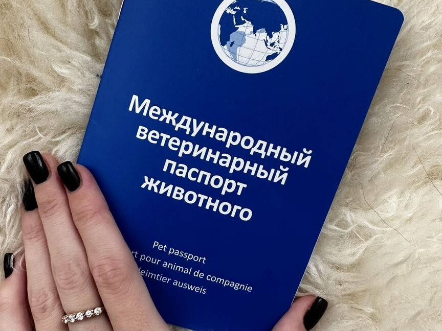 Ветеринарный паспорт