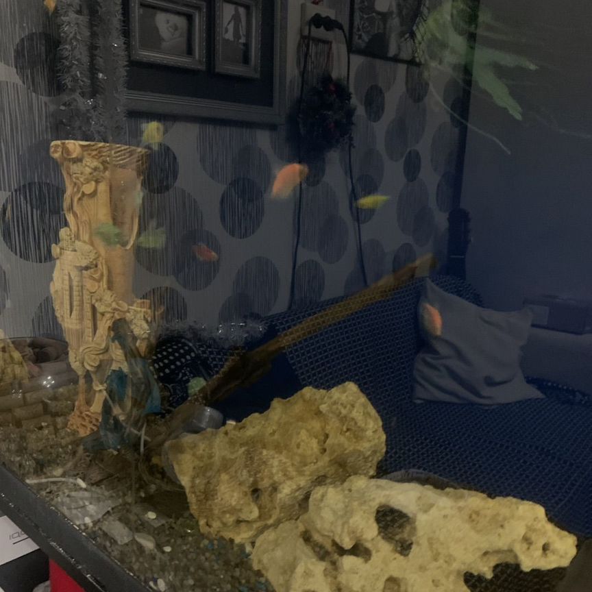 Аквариум 280л