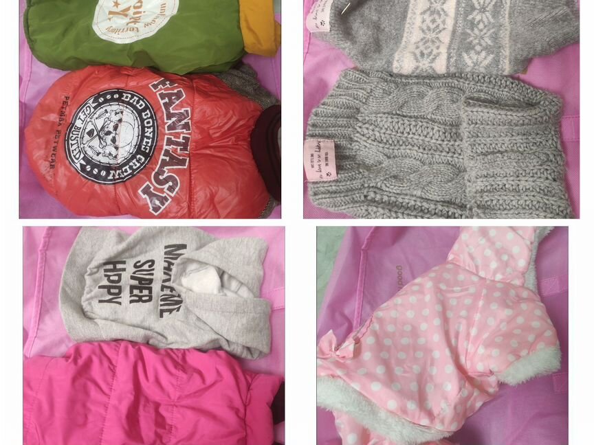 Одежда для маленьких собак пакетом М