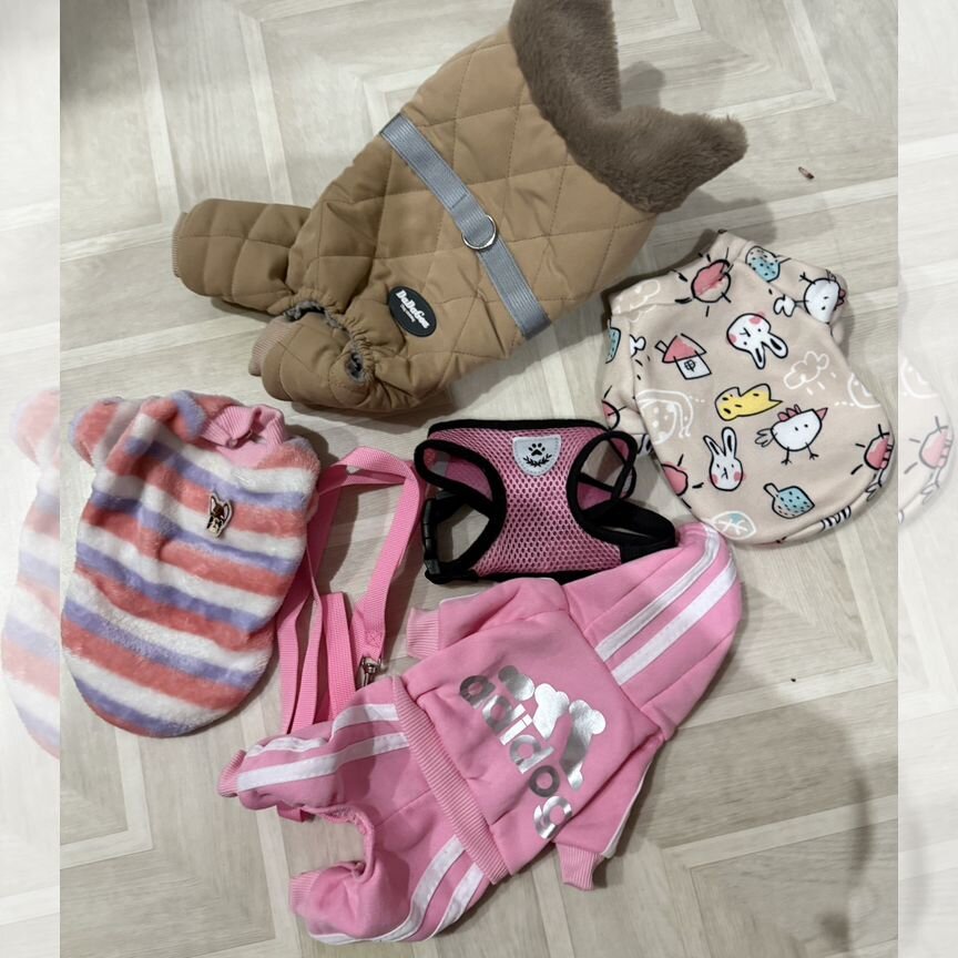 Одежда для собак мелких пород s