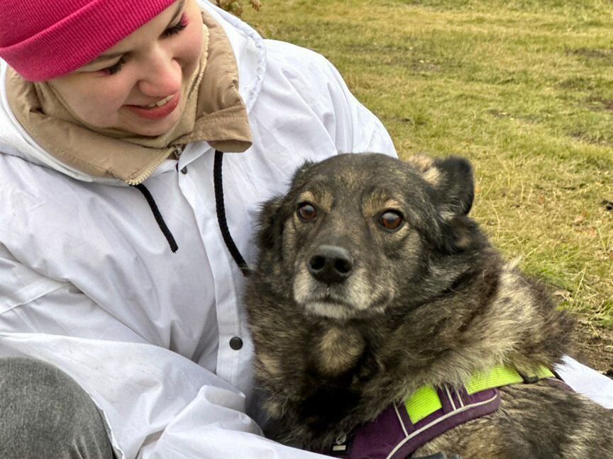 Милейшая старушка ждет хозяев